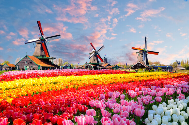 Guided Bus Tours | Lenzner Travel